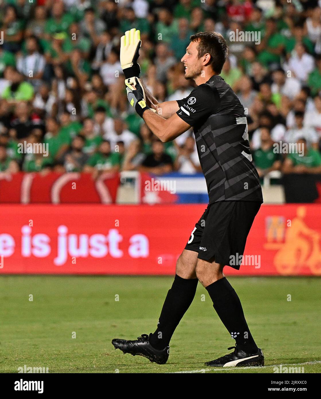 Gent's goalkeeper Davy Roef pictured during a soccer game between ...