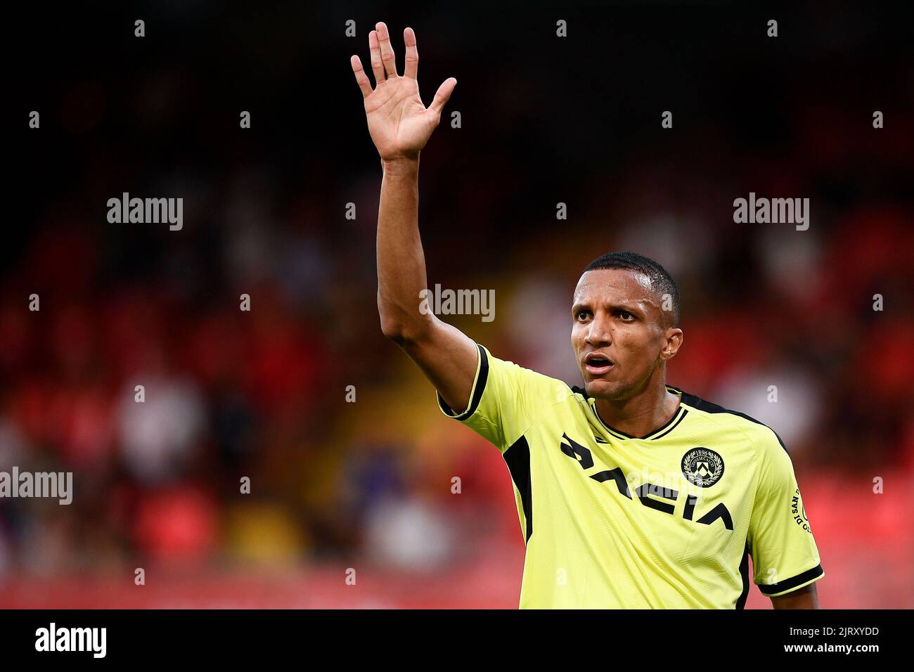 Rodrigo becao of udinese calcio gestures hi-res stock photography and ...