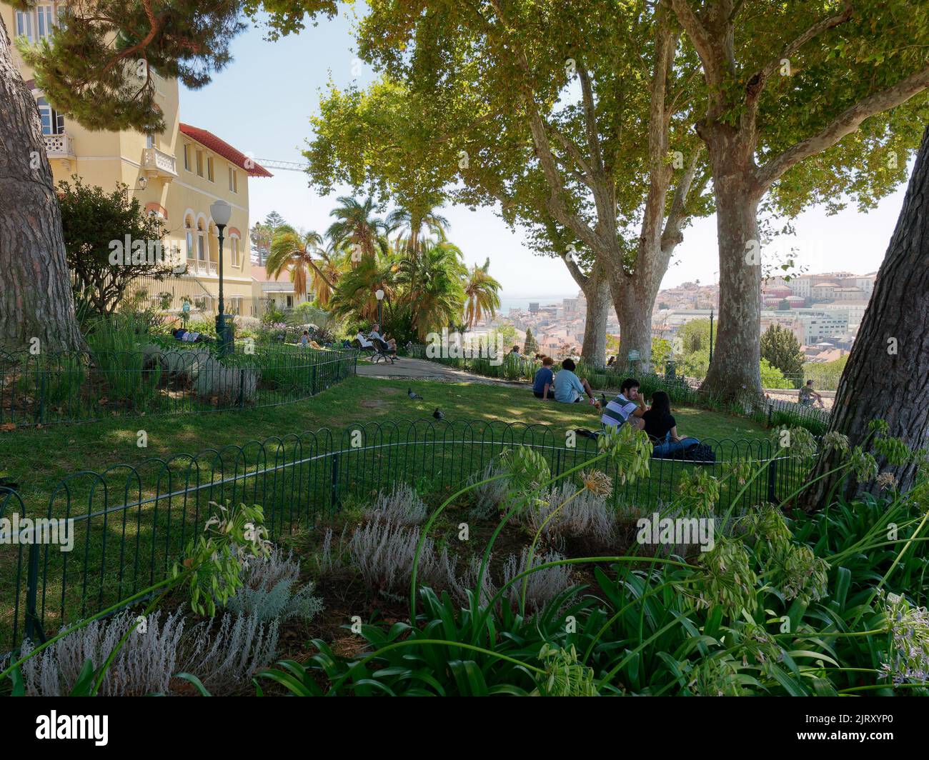 Jardim do torel garden hi-res stock photography and images - Alamy