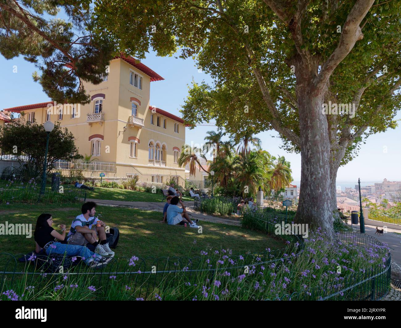 Torel hi-res stock photography and images - Alamy