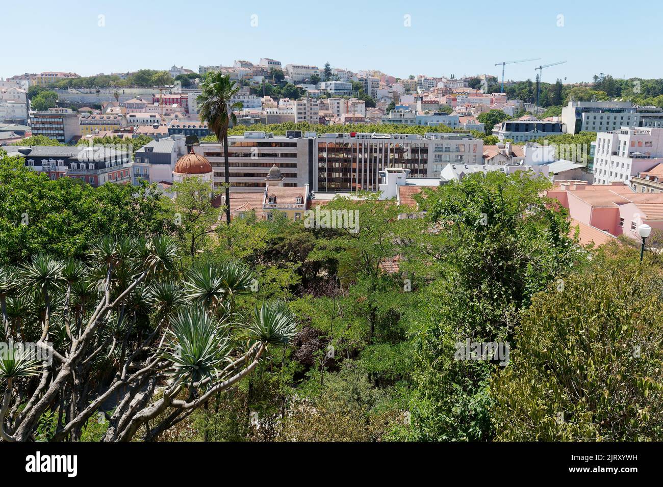 Torel garden viewpoint hi-res stock photography and images - Alamy