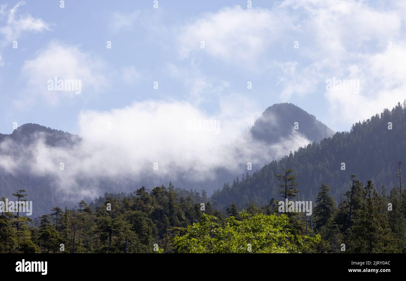 Canadian Nature Landscape with trees and mountains Stock Photo - Alamy