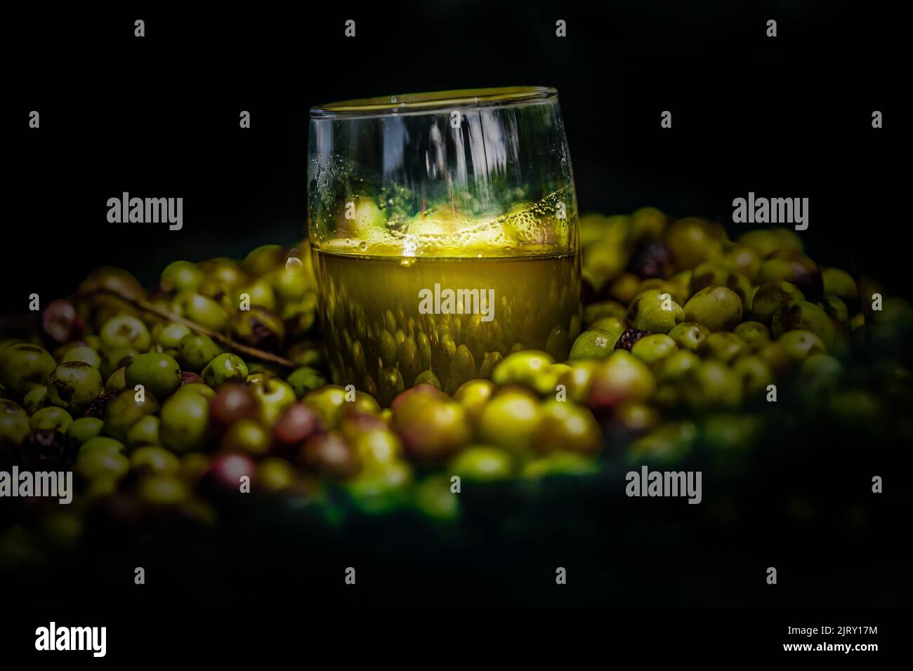 olive picking and processing Stock Photo - Alamy