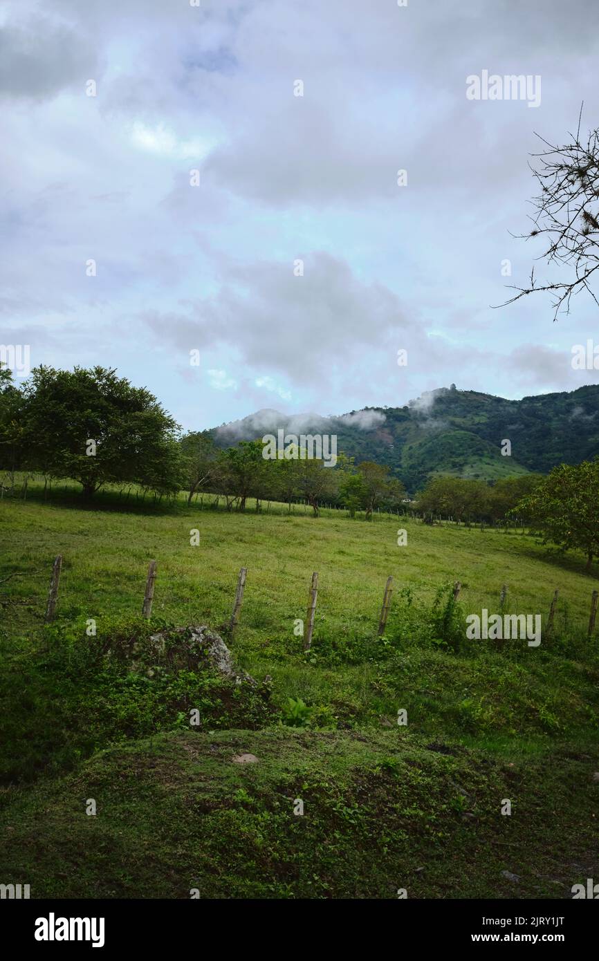 Panoramic colombian rural landscape on hi-res stock photography and ...
