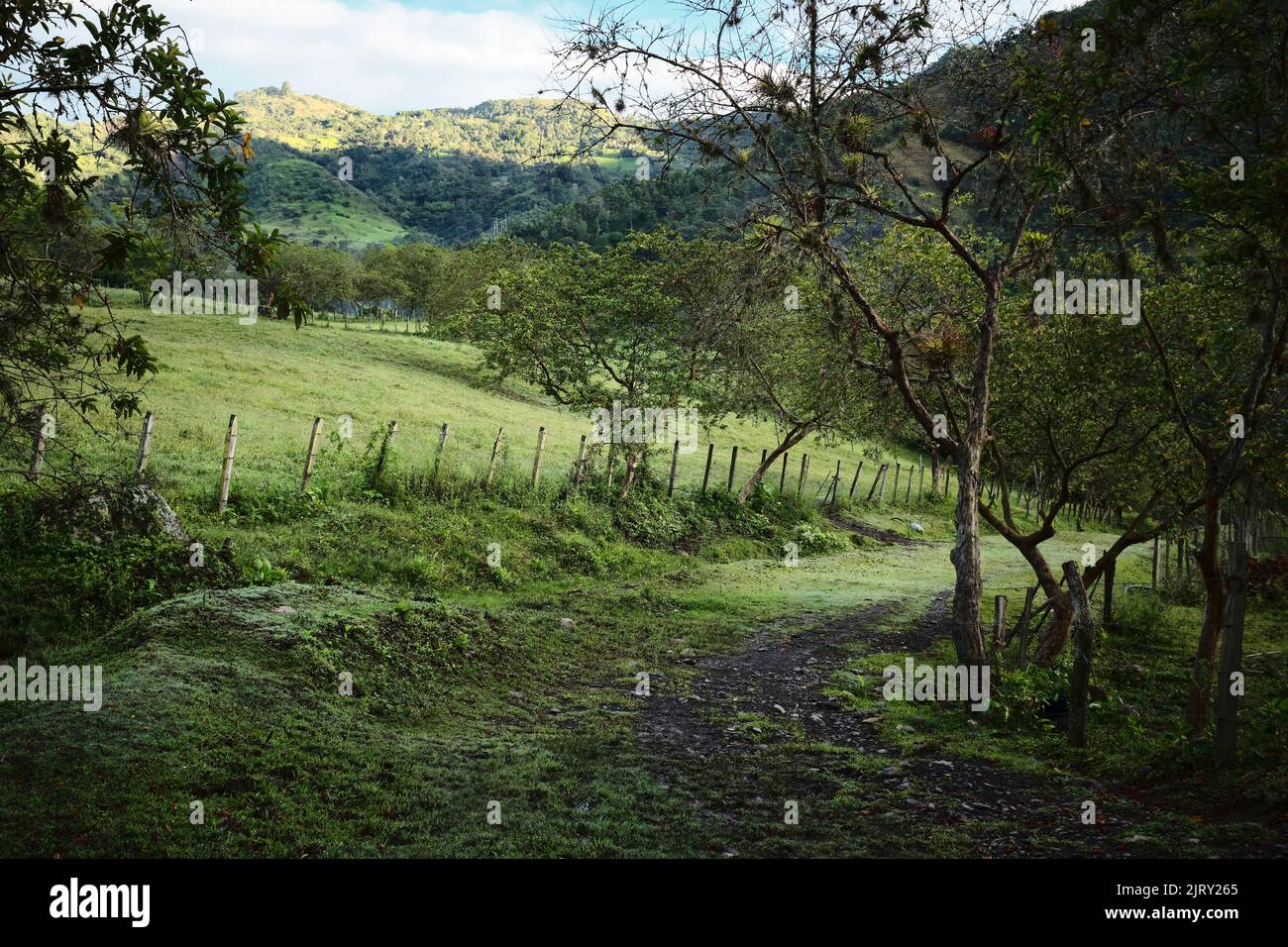 A walking path in the Andes Mountains in rural Colombia on a cloudy day ...