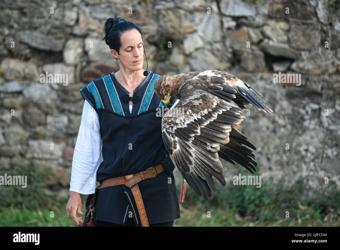 Falcon master hi-res stock photography and images - Alamy