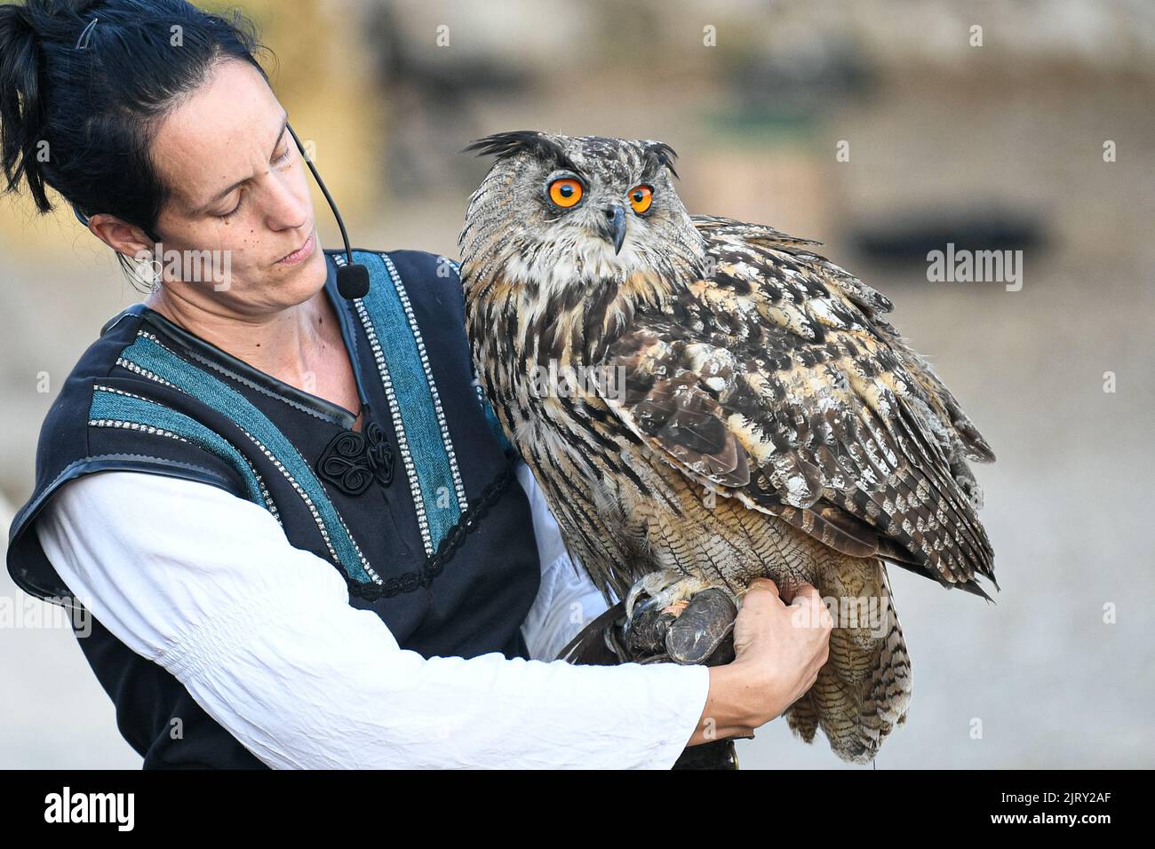 Grimaud, France. 26th Aug, 2022. A master falconer with an Eurasian ...