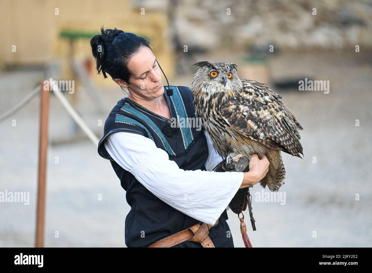 Grimaud, France. 26th Aug, 2022. A master falconer with an Eurasian ...