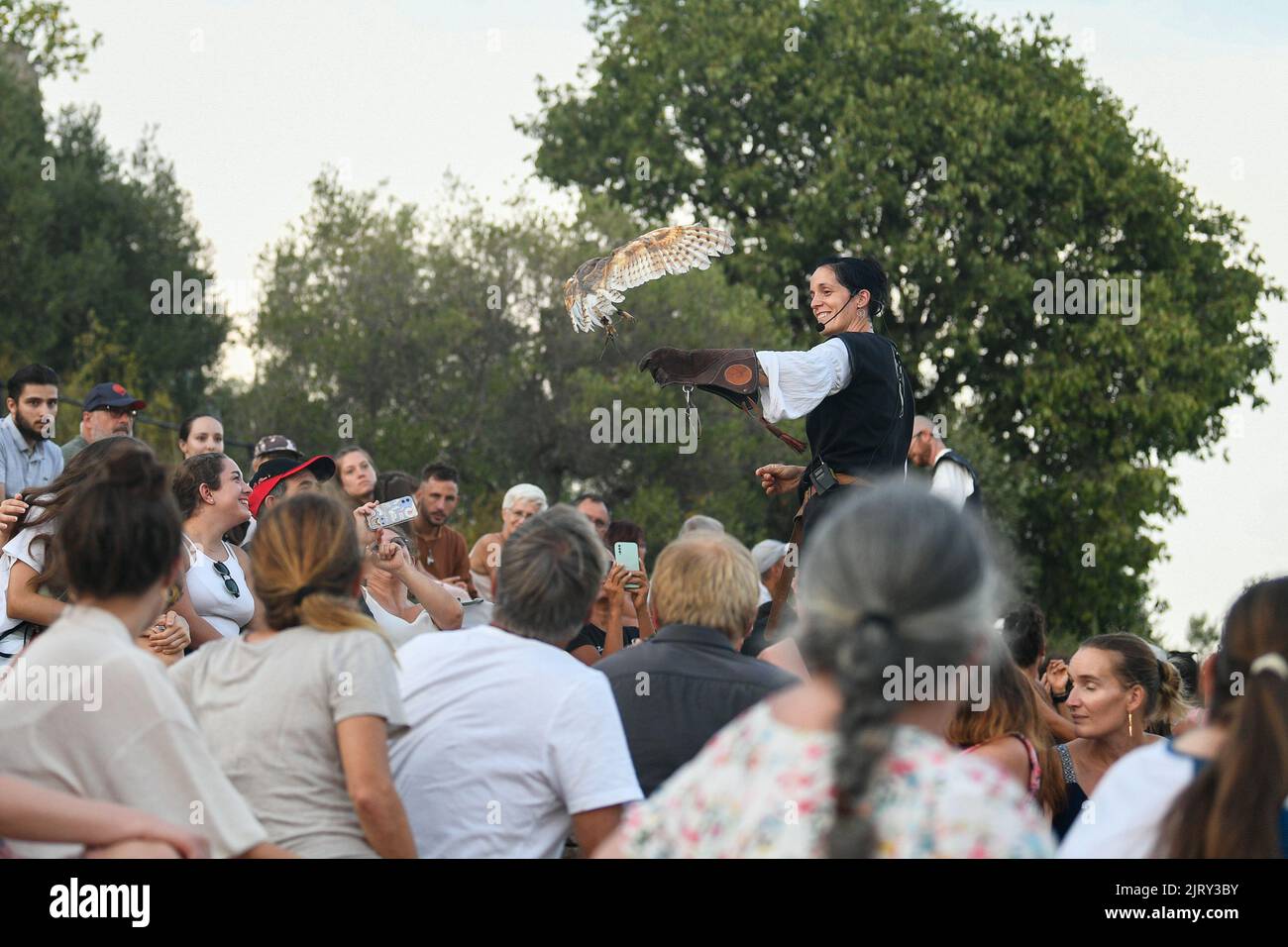 Grimaud, France. 26th Aug, 2022. A master falconer with a barn owl ...