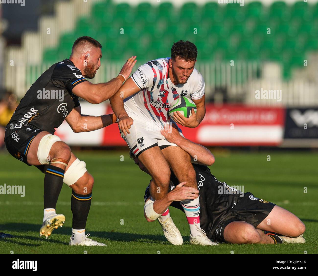 Joe jenkins of bristol bears hi-res stock photography and images - Alamy