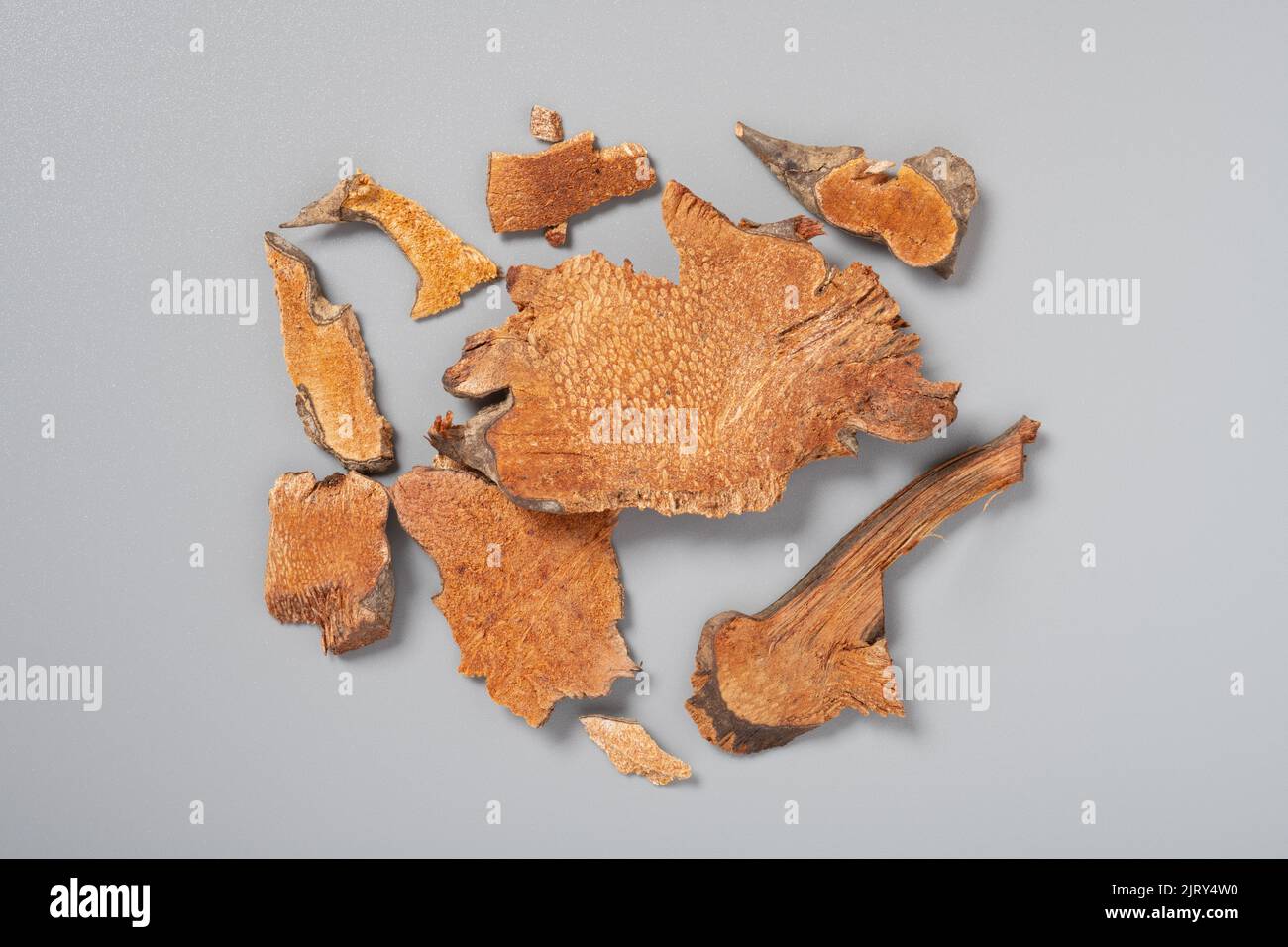 Chinaroot greenbrier rhizome hi-res stock photography and images - Alamy