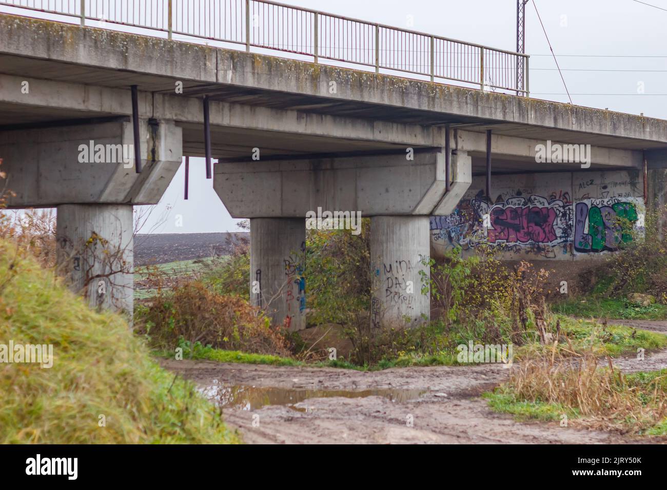 The greenery and street graffiti down below of an old bridge Stock ...