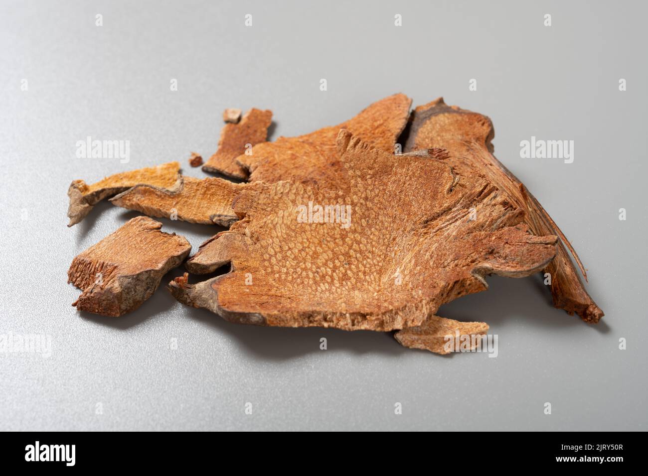 Chinaroot greenbrier rhizome hi-res stock photography and images - Alamy