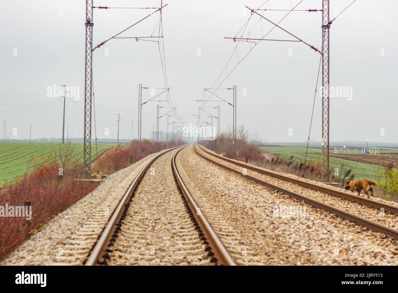 An empty railway in a natural field Stock Photo - Alamy