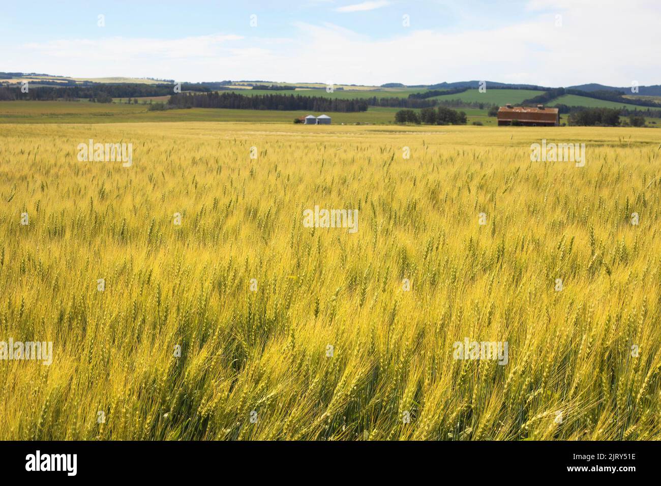 High variety of varieties hi-res stock photography and images - Alamy
