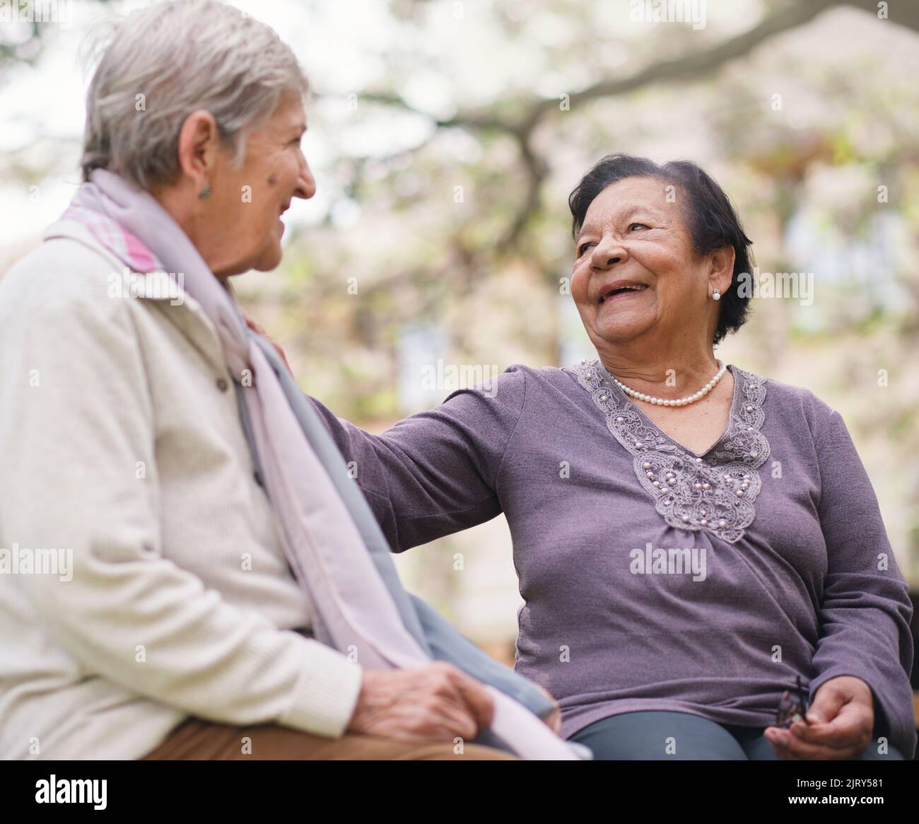 Elderly women sitting on bench in park smiling happy life long friends ...