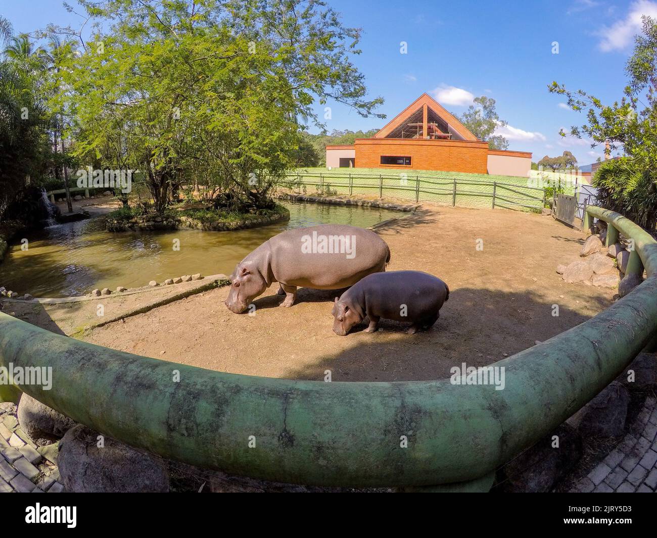 Zoo of pomerode hi-res stock photography and images - Alamy