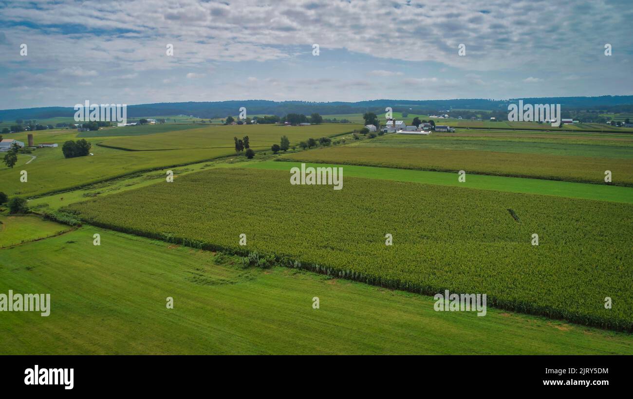 Drone View of Amish Countryside With Barns and Silos and Corn, Patch ...