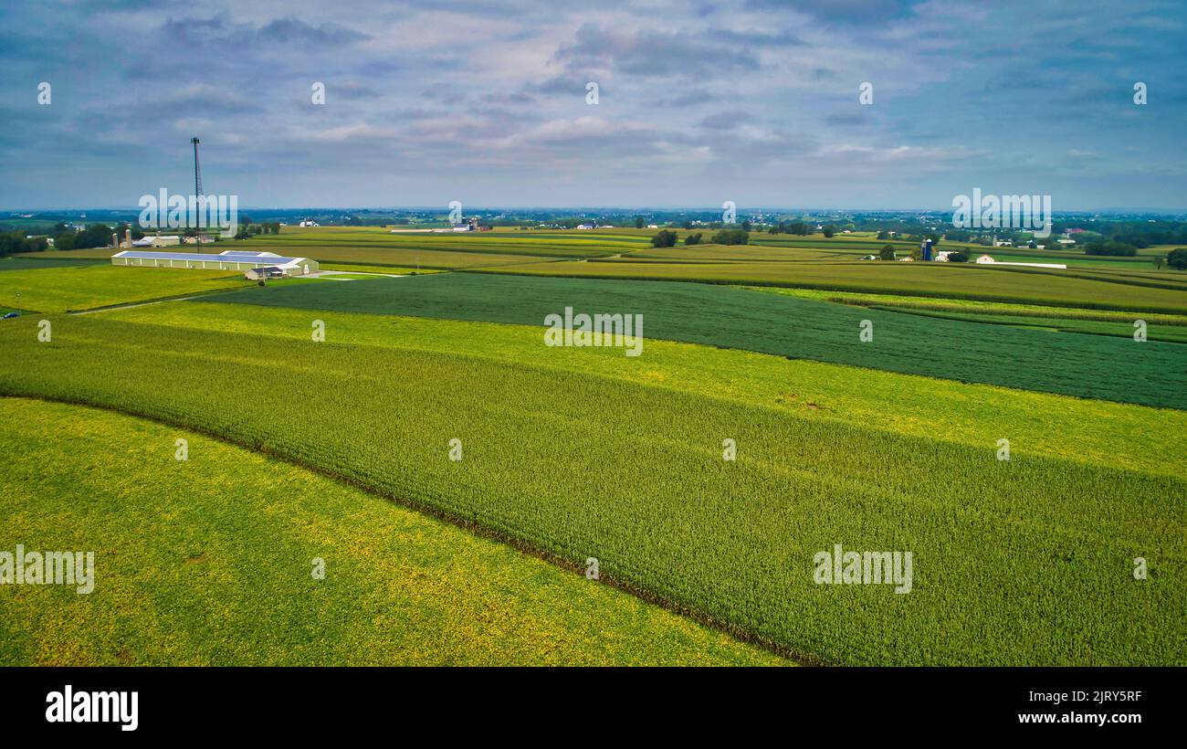 Drone View of Amish Countryside With Barns and Silos and Corn, Patch ...