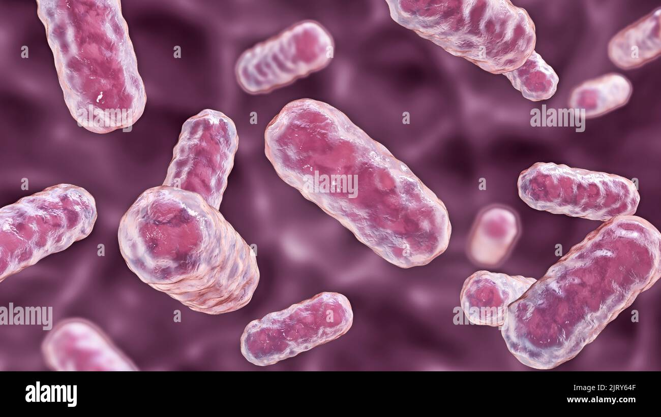 Enterobacter bacteria, illustration Stock Photo - Alamy