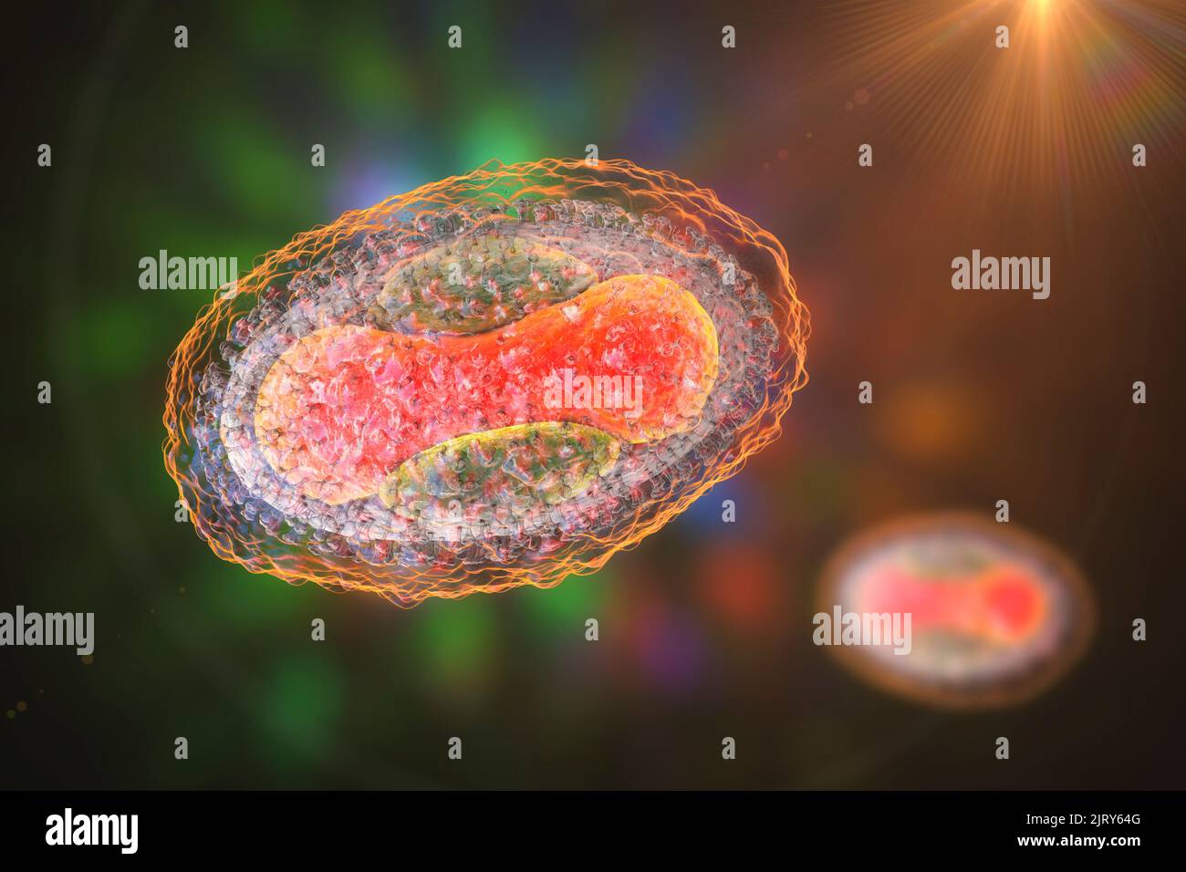 Molluscum contagiosum virus, illustration Stock Photo - Alamy