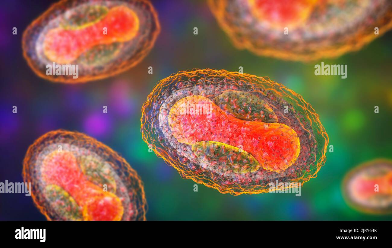 Molluscum contagiosum virus, illustration Stock Photo - Alamy