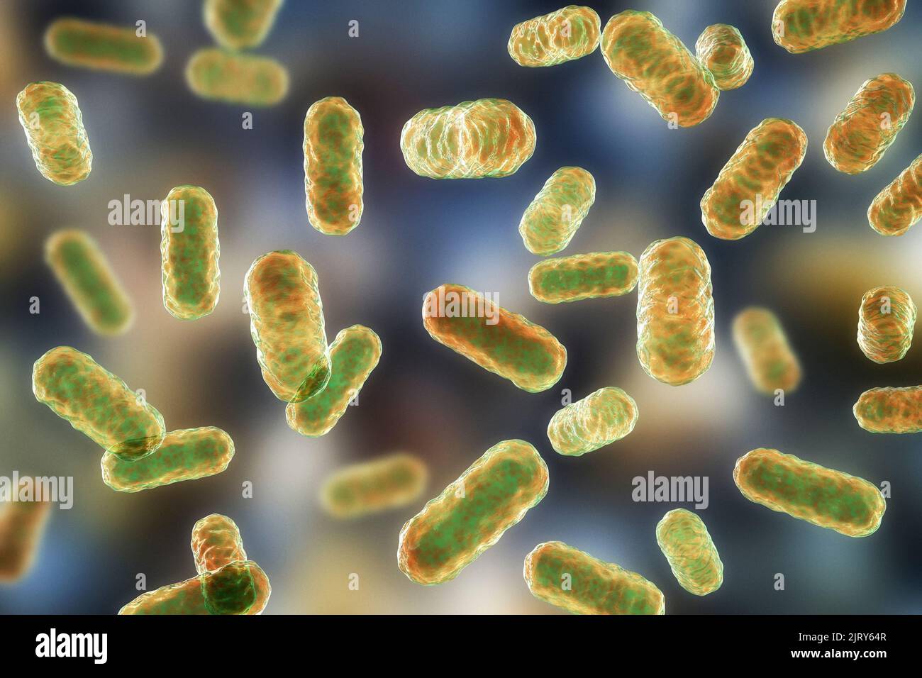 Enterobacter bacteria, illustration Stock Photo - Alamy