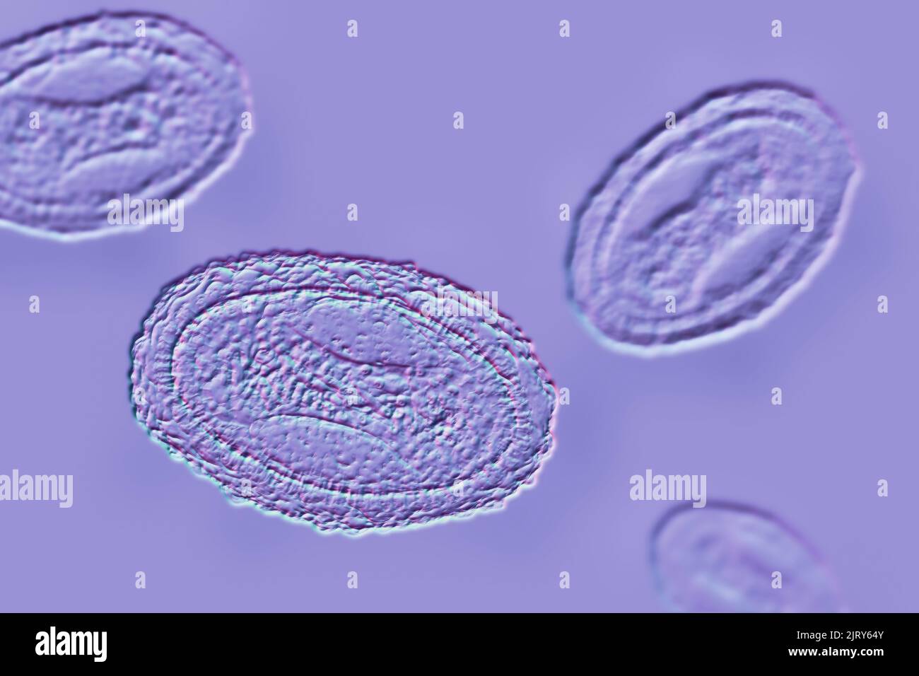 Molluscum contagiosum virus hi-res stock photography and images - Alamy