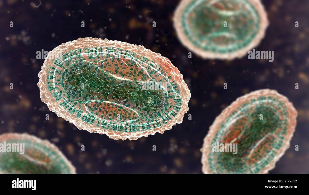 Tanapox hi-res stock photography and images - Alamy