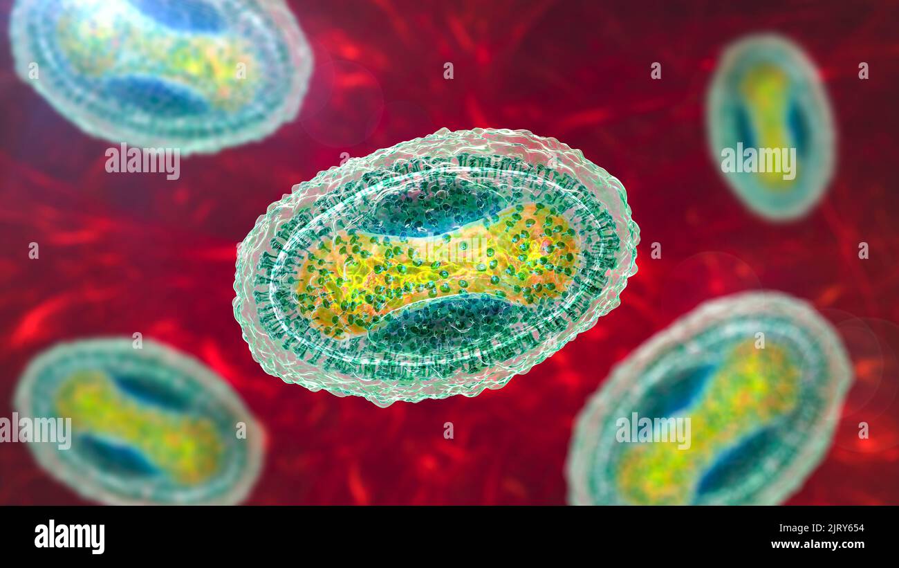 Molluscum contagiosum hi-res stock photography and images - Alamy