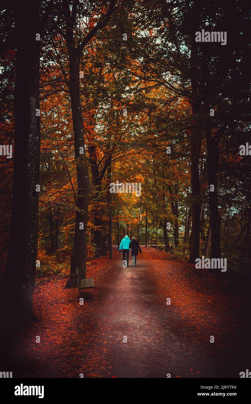 nice autumn day int he fall. a fall day in Falkenberg Sweden. nice red ...