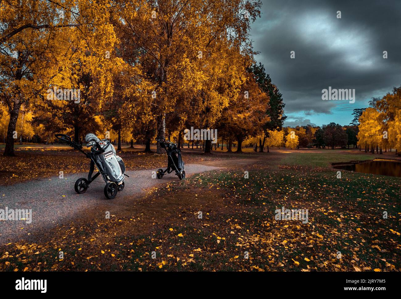 nice autumn day int he fall. a fall day in Falkenberg Sweden. nice red ...