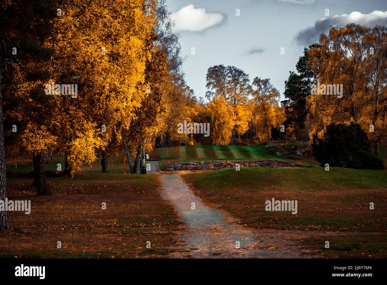 nice autumn day int he fall. a fall day in Falkenberg Sweden. nice red ...