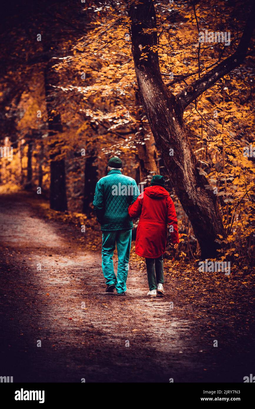 nice autumn day int he fall. a fall day in Falkenberg Sweden. nice red ...