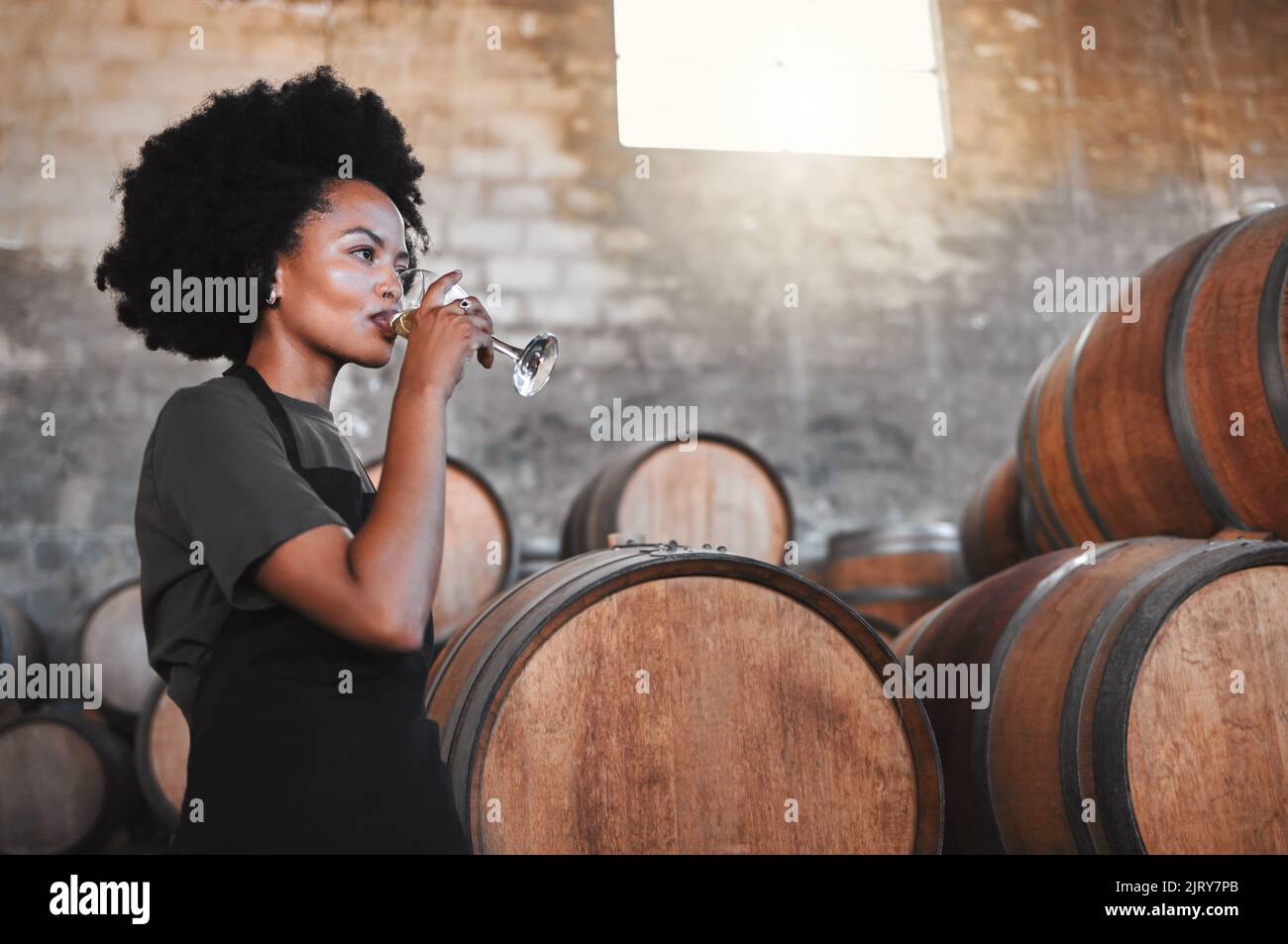 Wine, drink and cellar woman tasting a glass from their manufacturing ...