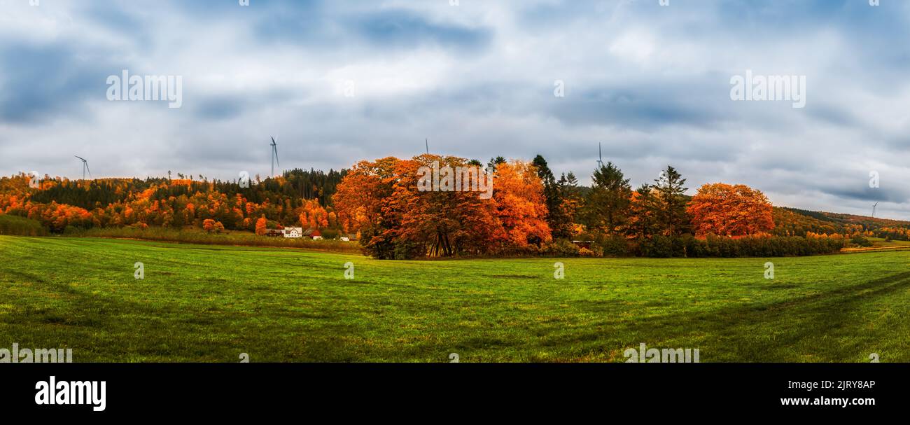 Cool landscape picture over landscape i sweden. sunset and ocean. nice ...