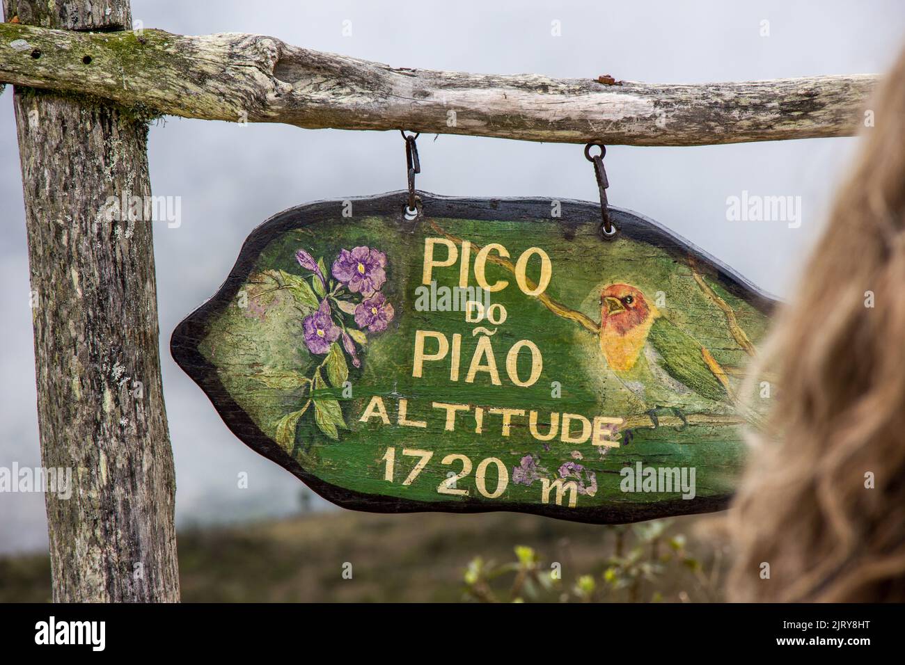 brazilian information boards with the peak words of the pedestrian ...
