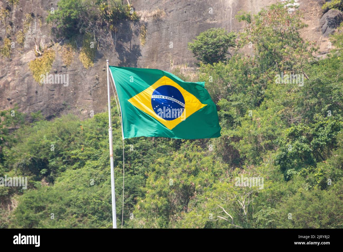 Brazilian emblem hi-res stock photography and images - Alamy