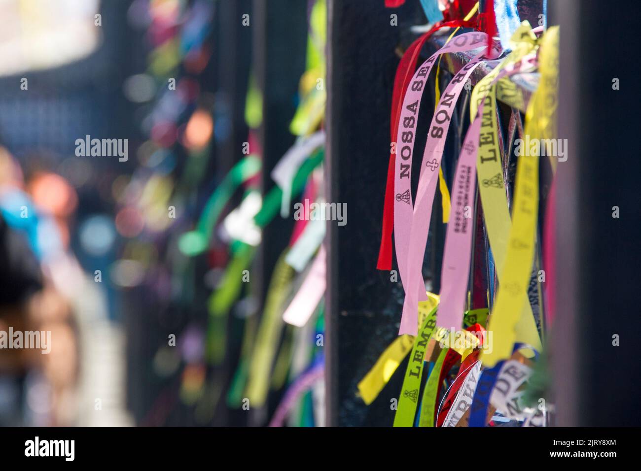 little ribbon of Our Lady appeared trapped in a grid in northern ...