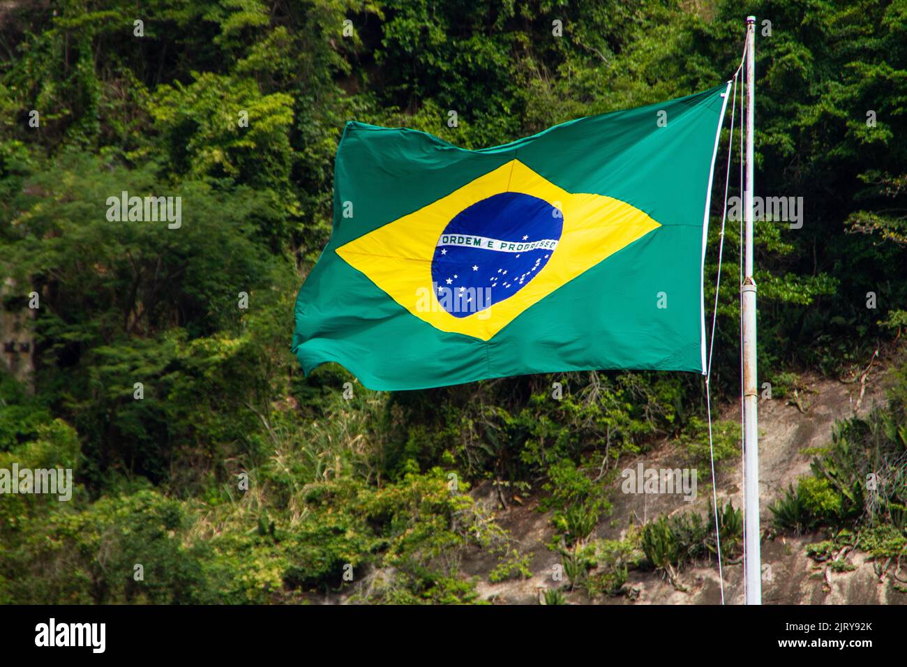 flag of brazil outdoors with green leaves in the background in rio de ...