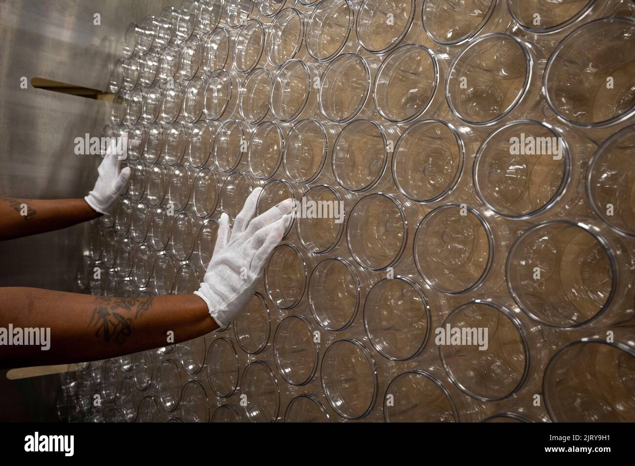 Atlanta, Georgia, USA. 3rd Aug, 2022. Worker packs just-finished wide ...