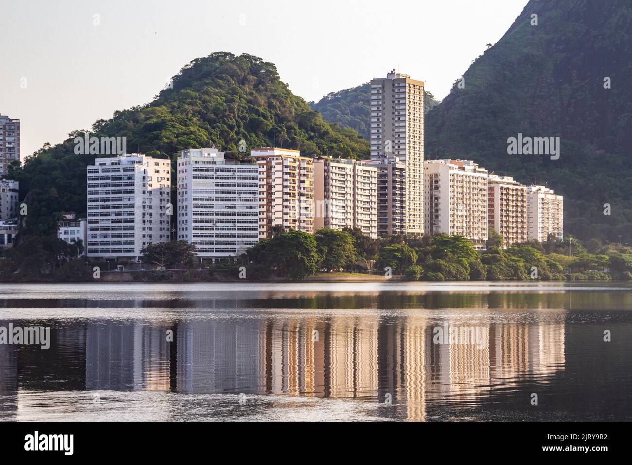 Rodrigo freitas forest hi-res stock photography and images - Alamy
