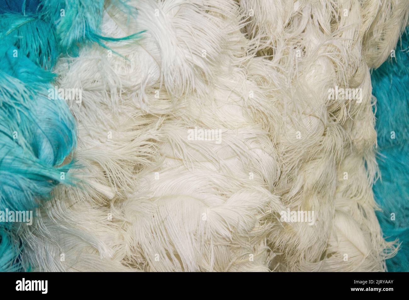 blue and white fabric used for carnival costumes in Rio de Janeiro ...