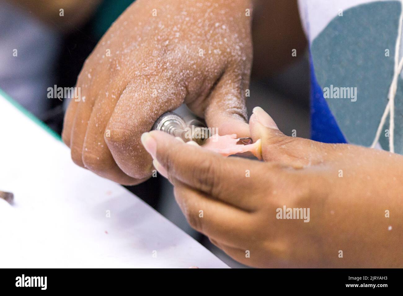 dental prosthesis mold in the hand of a prosthetic in rio de janeiro ...