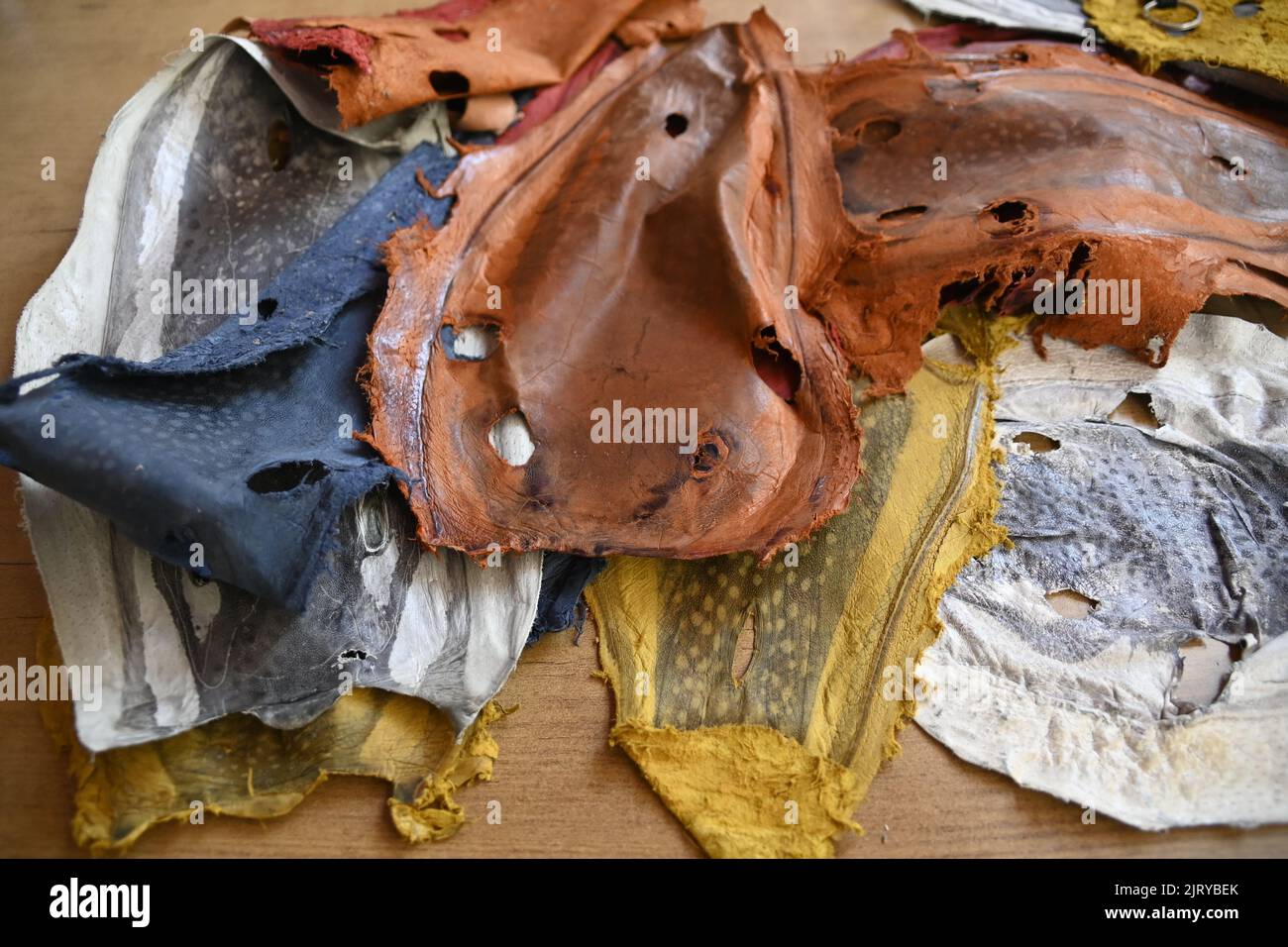 Alanya, Turkey. 24th Aug, 2022. Leather from the skin of the puffer ...