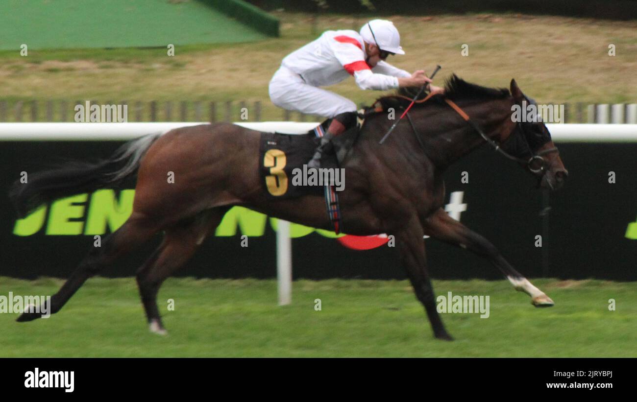 Final2furlongs hi-res stock photography and images - Alamy