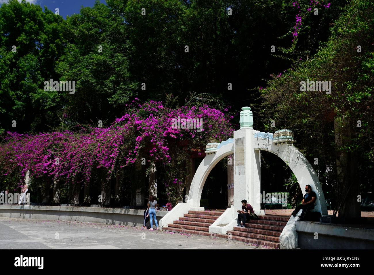 Art deco parque mexico, mexico city hi-res stock photography and images ...