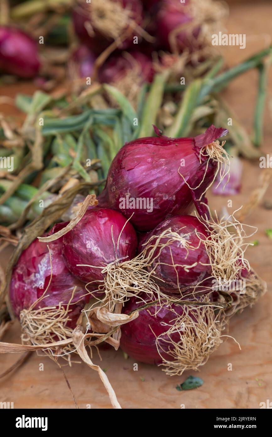Market stall with red onions, Catania, Sicily, Italy Stock Photo - Alamy