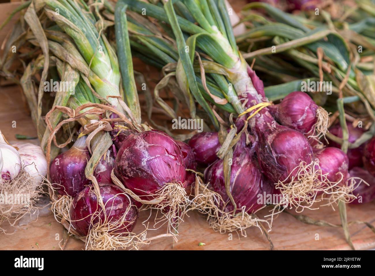 Market stall with red onions, Catania, Sicily, Italy Stock Photo - Alamy