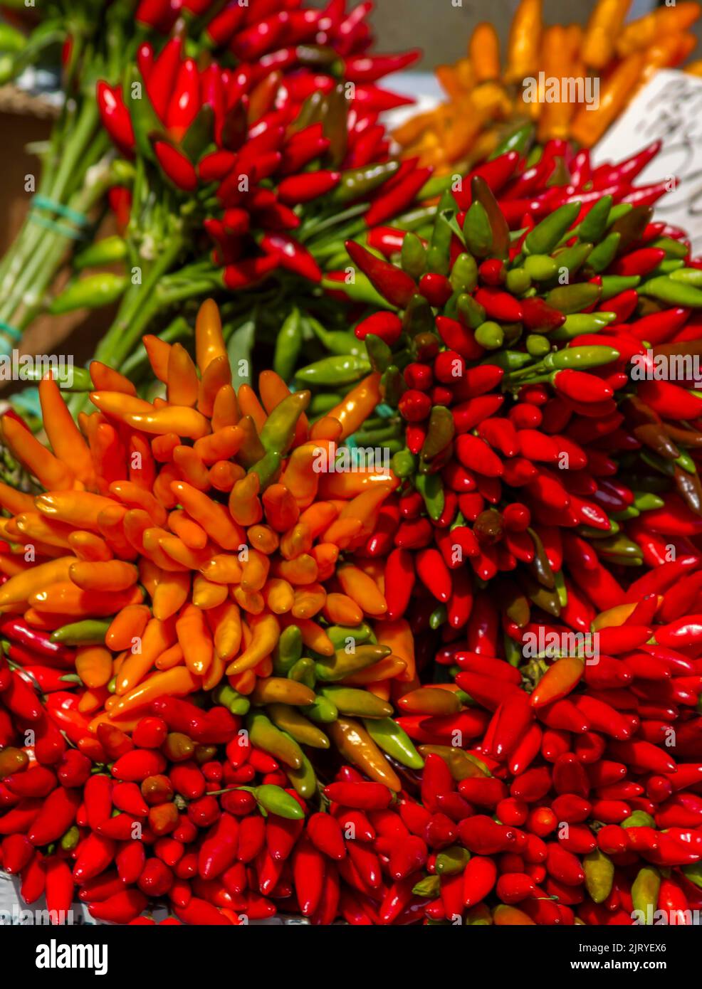 Market stall with chilli peppers, Venice, Italy Stock Photo - Alamy